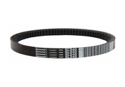 5L280 Continental V-BELT COGGED 5L280 For Sale
